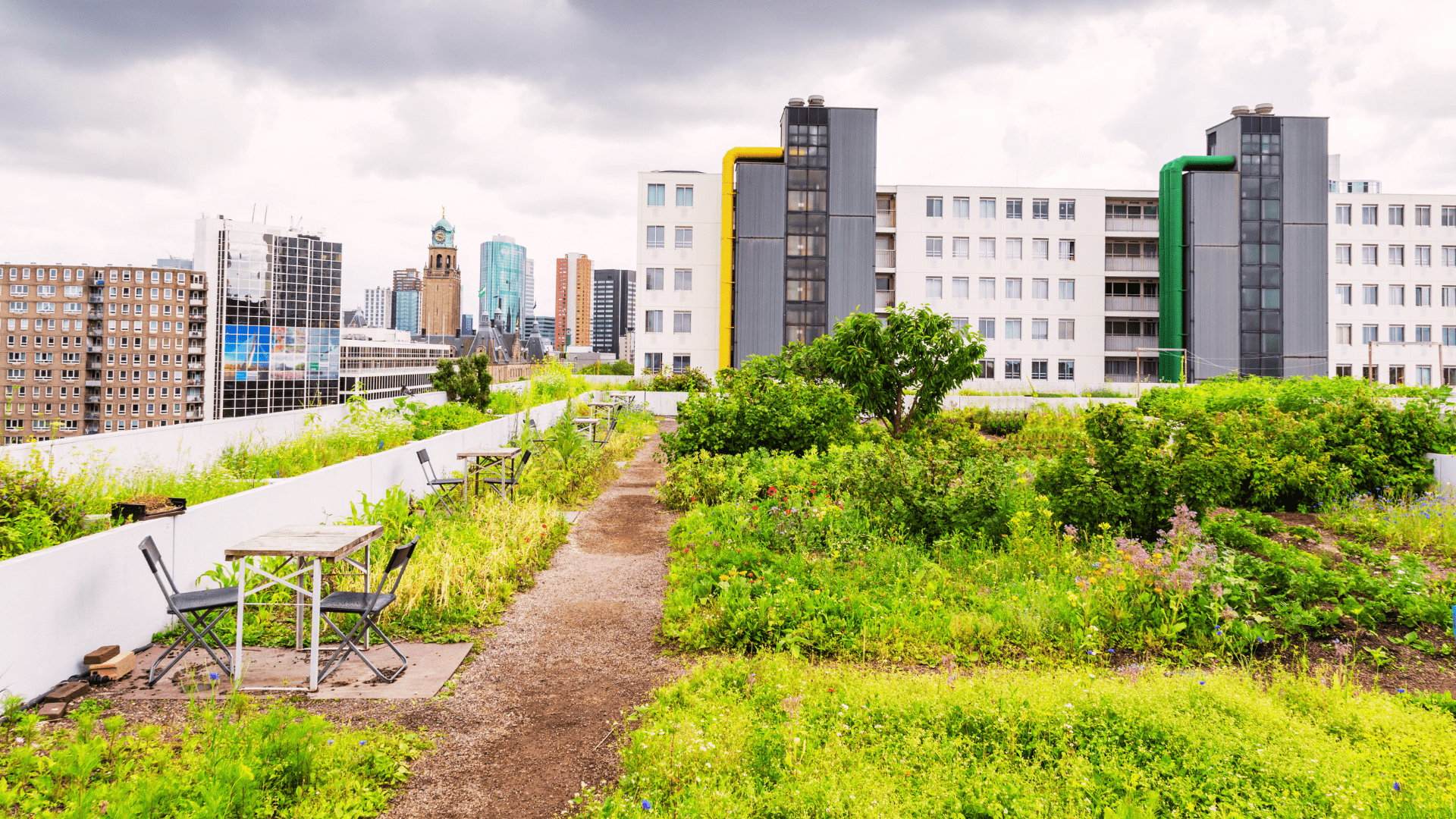 Green and solar roofs gaining momentum in Europe | Elevate